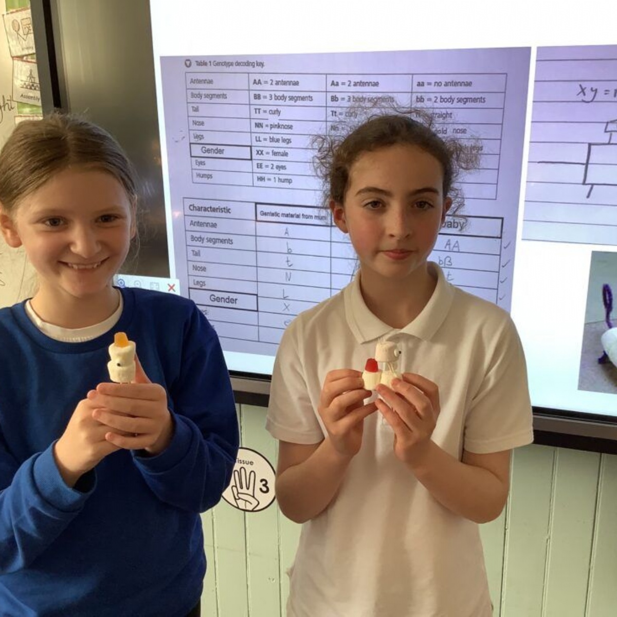 Blaydon West Primary School - Year 6 Jeans for Genes: Making Reebops